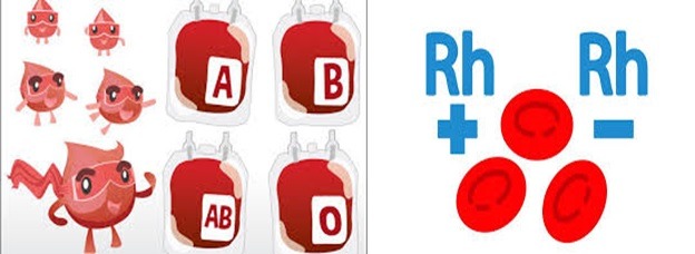 Blood group - Principles and indications for blood transmission